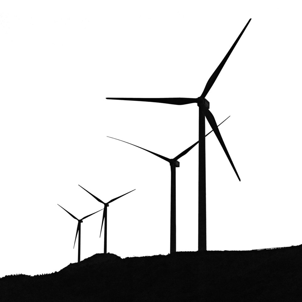 Climate Change, Renewable Energy & Sustainability | Cole Schotz