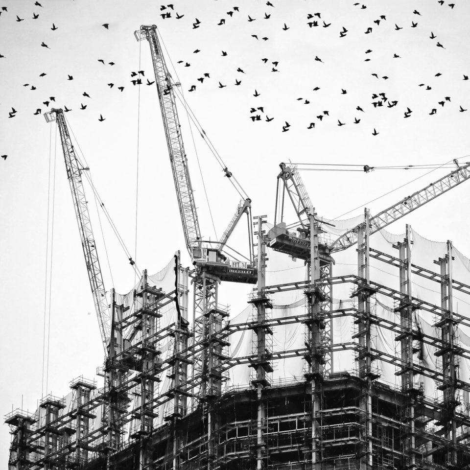 OSHA Compliance | Cole Schotz